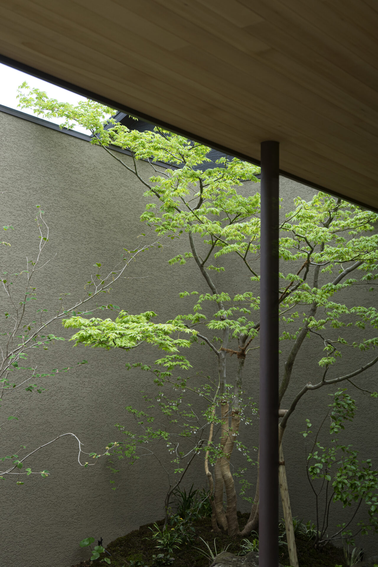 新築住宅完成見学会 清明の庭 ご来場ありがとうございました | 株式会社I.D.Works